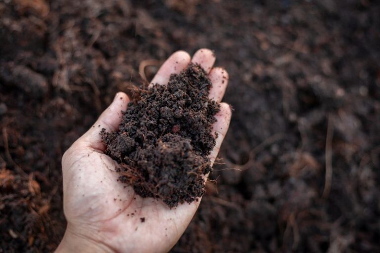 5 Easy Tests You Can Do to Identify Your Soil Type