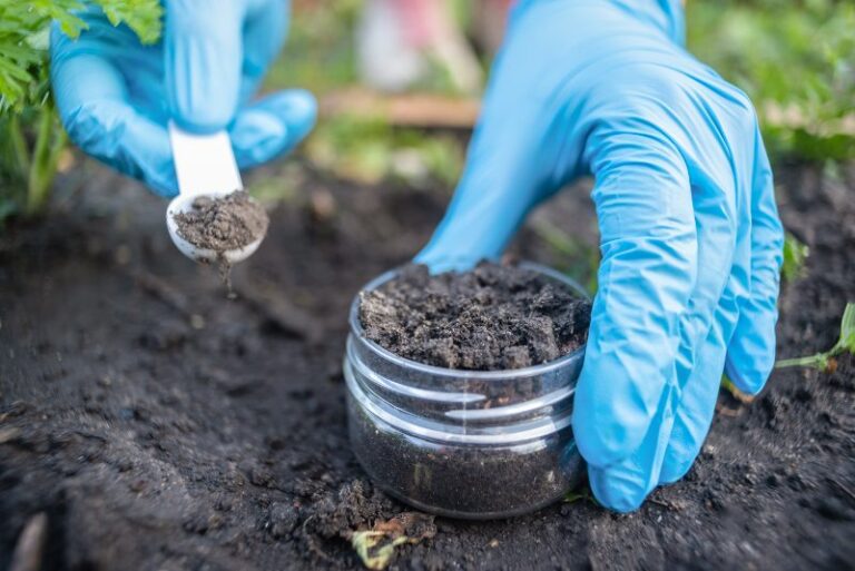 5 Easy Tests You Can Do to Identify Your Soil Type