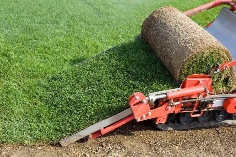 How to Use a Sod Cutter: Complete Guide for Homeowners