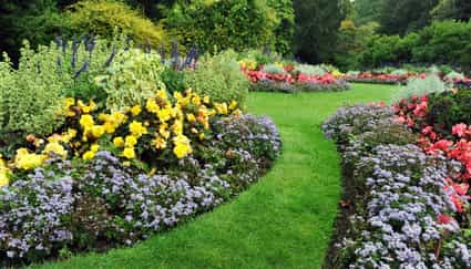 25 Best Landscapers in Chicago, IL | Landscaping from $29 | Best of 2025