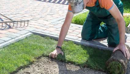 25 Best Landscapers in Chicago, IL | Landscaping from $29 | Best of 2025
