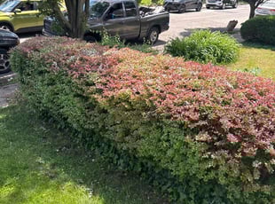 25 Best Landscapers in Philadelphia, PA | Landscaping from $29 | Best ...