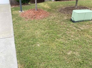 25 Best Landscapers in Chandler, AZ | Landscaping from $29 | Best of 2024