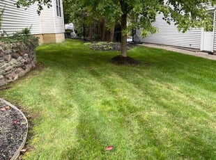 25 Best Landscapers in Chicago, IL | Landscaping from $29 | Best of 2024