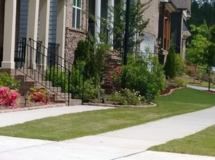 6 Best Landscapers in Denison, TX | Landscaping from $29 | Best of 2024
