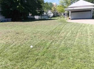 Lafayette, IN Lawn Care | Lawn Mowing from $19 | #1 of 2024