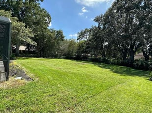 19 Best Landscapers in Mcallen, TX | Landscaping from $29 | Best of 2024