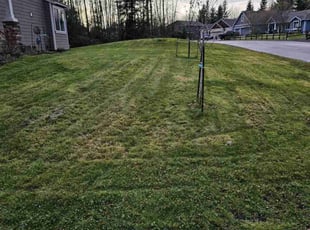 19 Best Landscapers in Mcallen, TX | Landscaping from $29 | Best of 2024