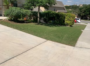 25 Best Landscapers in Riverside, CA | Landscaping from $29 | Best of 2024