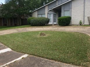 17 Best Landscapers in Tyler, TX | Landscaping from $29 | Best of 2024