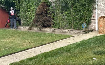 25 Best Landscapers in Chicago, IL | Landscaping from $29 | Best of 2025