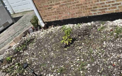 25 Best Landscapers in Chicago, IL | Landscaping from $29 | Best of 2025