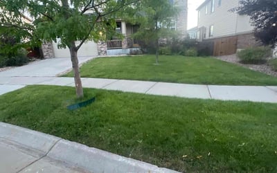 Aurora CO Lawn Care & Mowing Services - From $19