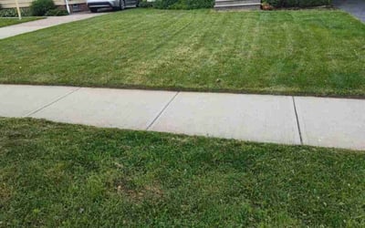 14 Best Landscapers in Amarillo, TX | Landscaping from $29 | Best of 2024