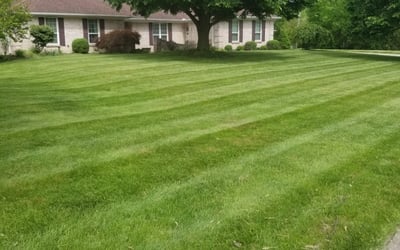 14 Best Landscapers in Amarillo, TX | Landscaping from $29 | Best of 2024