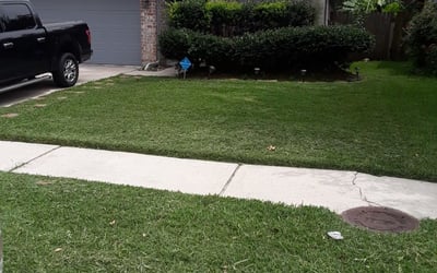 13 Best Landscapers in Augusta, GA | Landscaping from $29 | Best of 2024