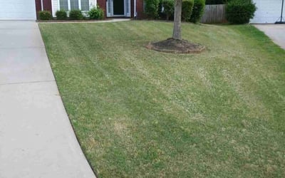 Aurora CO Lawn Care & Mowing Services - From $19