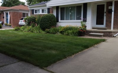 25 Best Landscapers in Austin, TX | Landscaping from $29 | Best of 2024