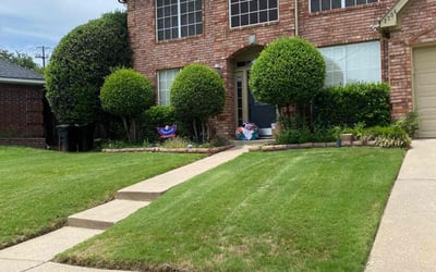 25 Best Landscapers in Chandler, AZ | Landscaping from $29 | Best of 2024