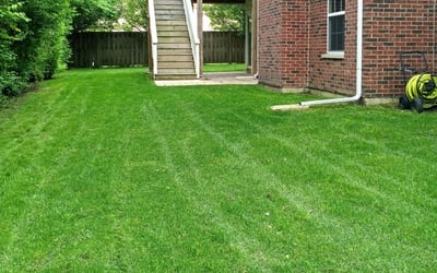 25 Best Landscapers in Chester, VA | Landscaping from $29 | Best of 2024