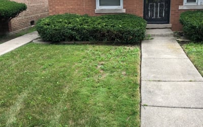 25 Best Landscapers in Chicago, IL | Landscaping from $29 | Best of 2024