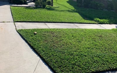 25 Best Landscapers in Concord, NC | Landscaping from $29 | Best of 2024