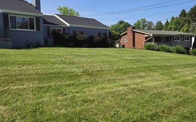 Darlington, SC Lawn Care | Lawn Mowing from $19 | #1 of 2024