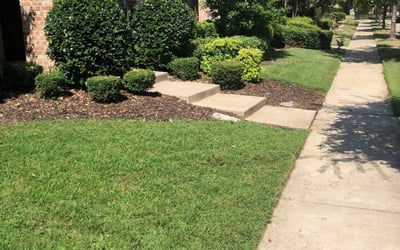 6 Best Landscapers in Denison, TX | Landscaping from $29 | Best of 2024