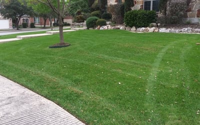 15 Best Landscapers in Erie, PA | Landscaping from $29 | Best of 2024