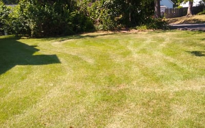 10 Best Landscapers in Fall River, MA | Landscaping from $29 | Best of 2024