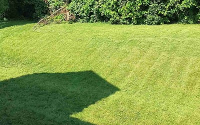 Gulf Shores, AL Lawn Care | Lawn Mowing from $19 | #1 of 2024
