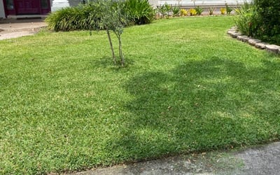 24 Best Landscapers in Lancaster, CA | Landscaping from $29 | Best of 2024