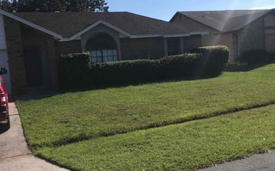 24 Best Landscapers in Lancaster, PA | Landscaping from $29 | Best of 2024