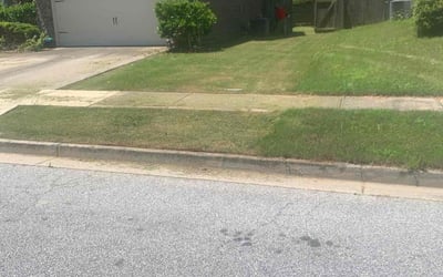 Longview, TX Lawn Care | Lawn Mowing from $19 | #1 of 2024