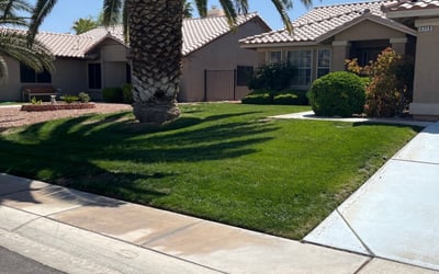 25 Best Landscapers in Madison, WI | Landscaping from $29 | Best of 2024