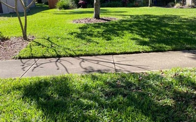 Martinsburg, WV Lawn Care | Lawn Mowing from $19 | #1 of 2024