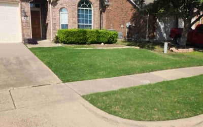 Perry Hall MD Lawn Care & Mowing Services - From $19