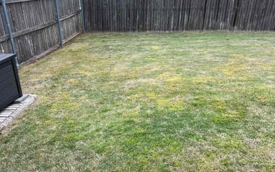 25 Best Landscapers in Phoenix, AZ | Landscaping from $29 | Best of 2024