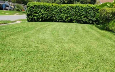 13 Best Landscapers in Princeton, NJ | Landscaping from $29 | Best of 2024