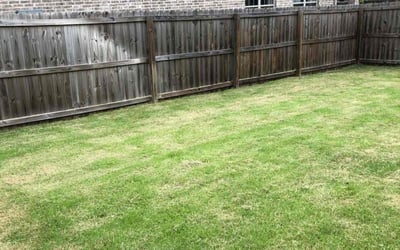 Rome, NY Lawn Care | Lawn Mowing from $19 | #1 of 2024