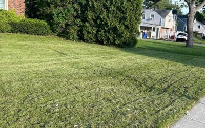 San Francisco, CA Lawn Care | Lawn Mowing from $19 | #1 of 2024