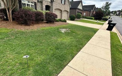 6 Best Landscapers in San Ramon, CA | Landscaping from $29 | Best of 2024