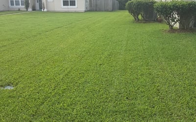 25 Best Landscapers in Santa Ana, CA | Landscaping from $29 | Best of 2024