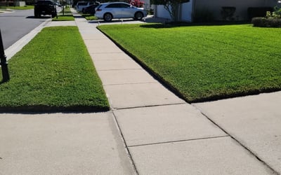 25 Best Landscapers in Santa Ana, CA | Landscaping from $29 | Best of 2024