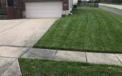 22 Best Landscapers in Savannah, GA | Landscaping from $29 | Best of 2024