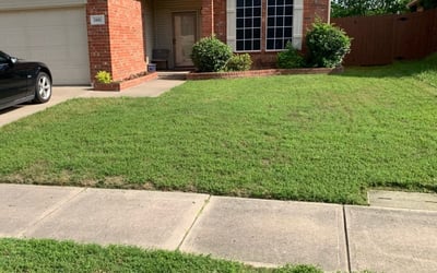 22 Best Landscapers in Savannah, GA | Landscaping from $29 | Best of 2024