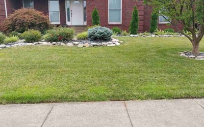 25 Best Landscapers in Seminole, FL | Landscaping from $29 | Best of 2024