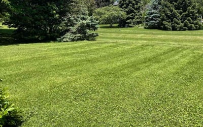 South Hadley, MA Lawn Care Service | Lawn Mowing from $19 | Best of 2024