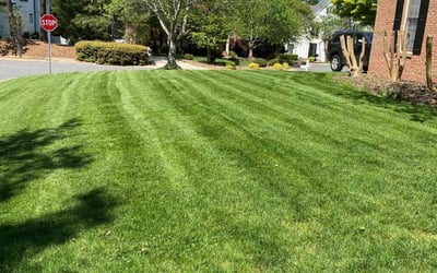 25 Best Landscapers in Springfield, MA | Landscaping from $29 | Best of ...