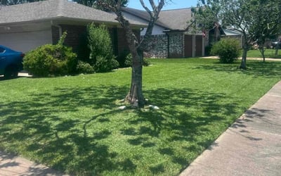 11 Best Landscapers in Stratford, CT | Landscaping from $29 | Best of 2024